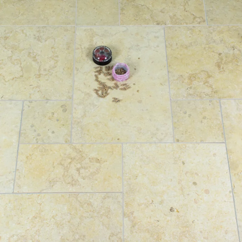 Jerusalem Antique Gold Opus Limestone - Tile & Floor Bath & Chippenham